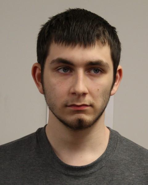 James Coe arrested for murder of mother Denise in Danville, New ...