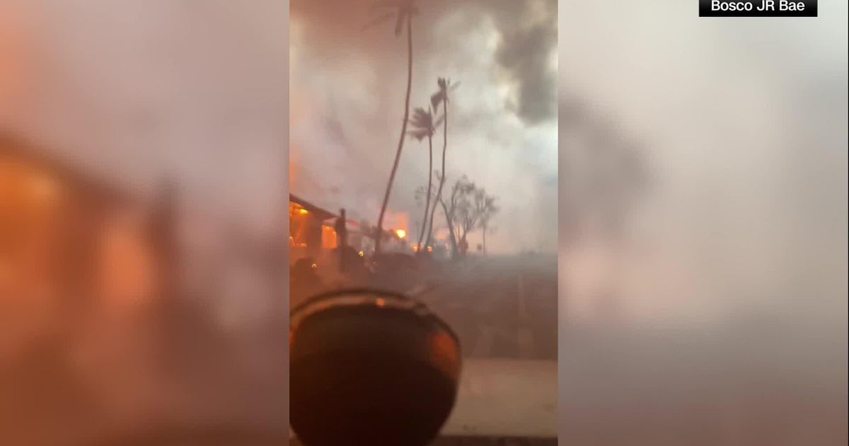 HI: Wildfires/ Maui evacuation caught on camera - CBS Miami