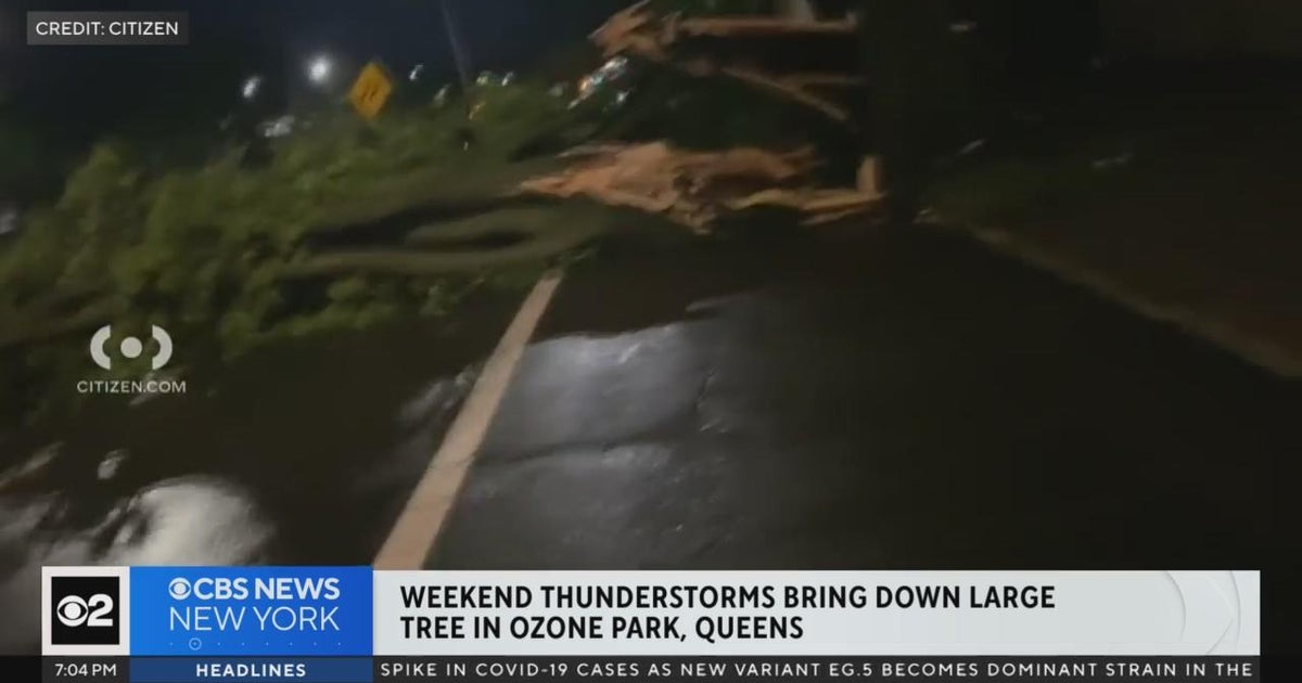Weekend thunderstorms bring down large tree in Ozone Park - CBS New York