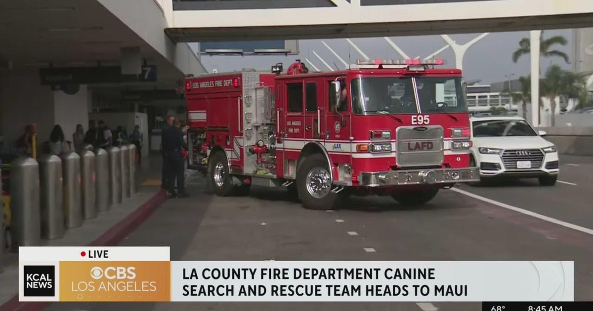 L.A. County Fire Department canine search-and-rescue teams head to Maui ...