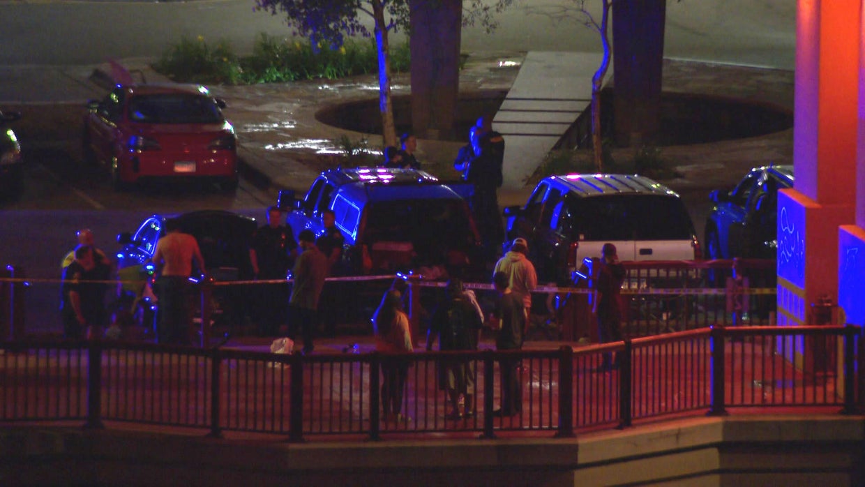 2 arrested in connection with killing on St. Paul's Raspberry Island - CBS Minnesota