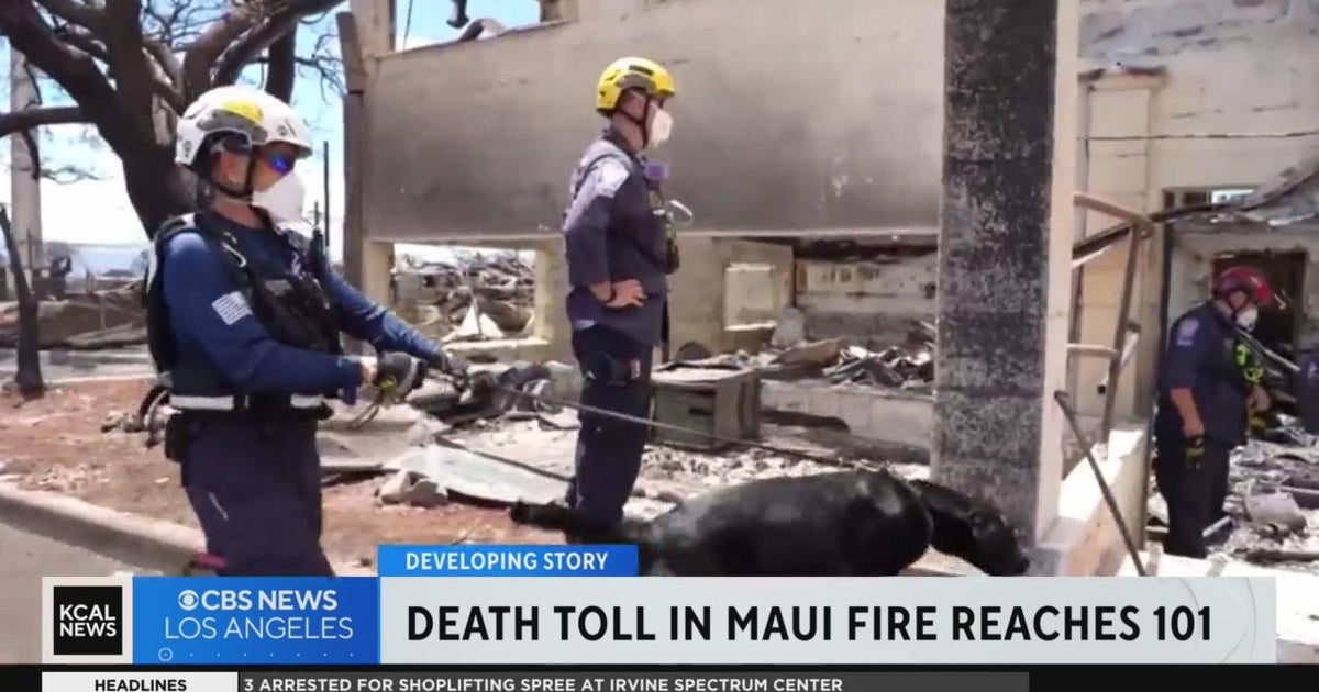 Death toll from Maui wildfire surpasses 100 - CBS Los Angeles Death toll from Maui wildfire surpasses 100 - CBS Los Angeles