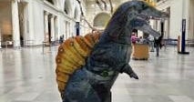 Field Museum to take Inflatable version of "Sobek" the Spinosaurus on ...