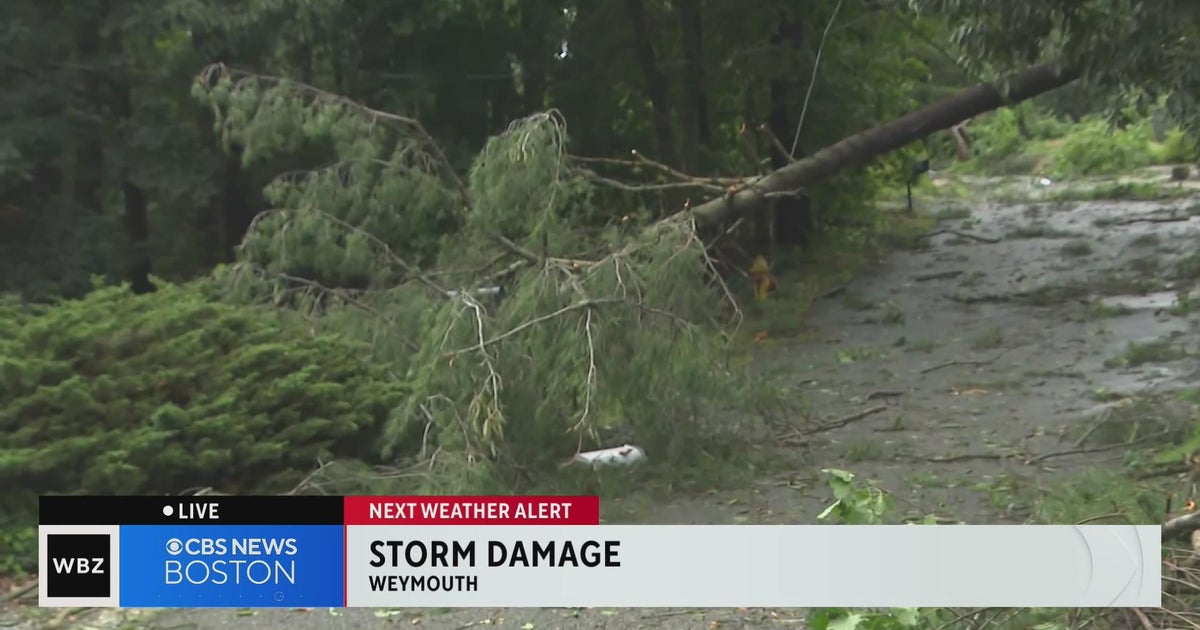 Storm tears through trees, power lines in Weymouth - CBS Boston