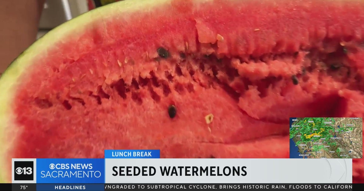 Lunch Break: Seeded Watermelons - CBS Sacramento