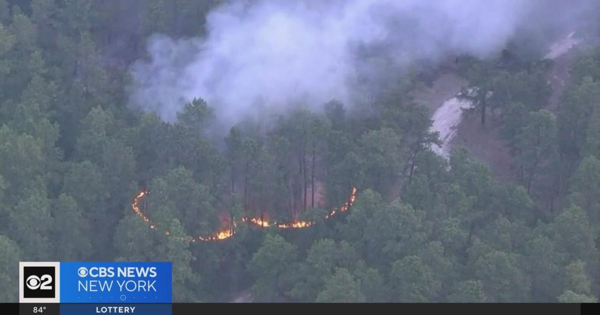 Wildfire burns in New Jersey's Wharton State Forest - CBS New York