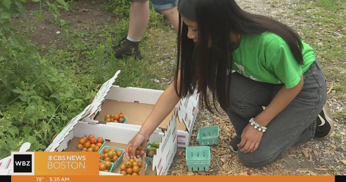 The Food Project teaches teens farming and how to sell the produce ...