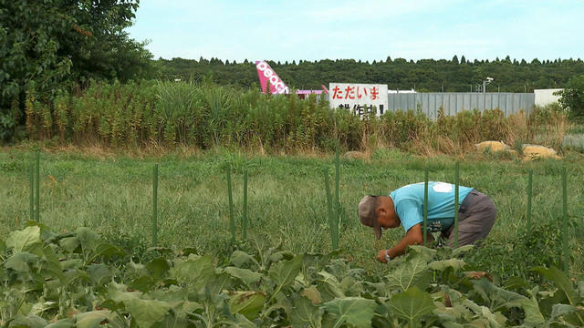 Japanese farmer has fought for decades to stay on his ancestral land in ...