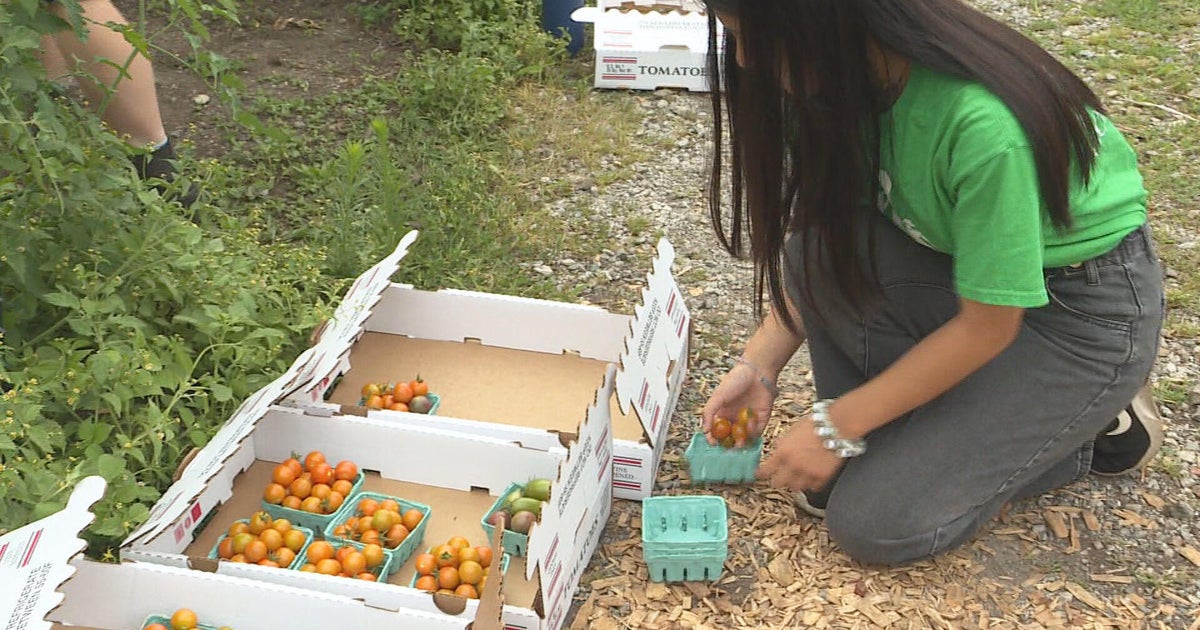 The Food Project teaches teens farming and how to sell produce locally ...