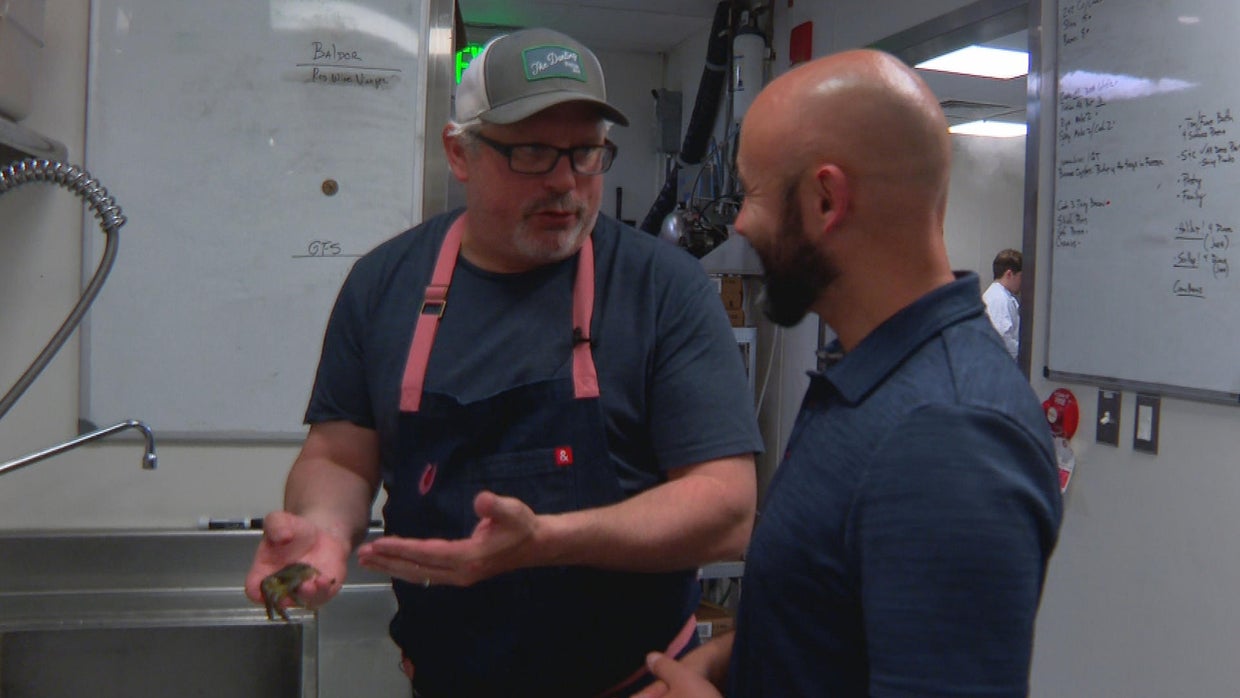 Maine fishermen, chef Jeremy Sewall aim to reduce invasive green crab ...