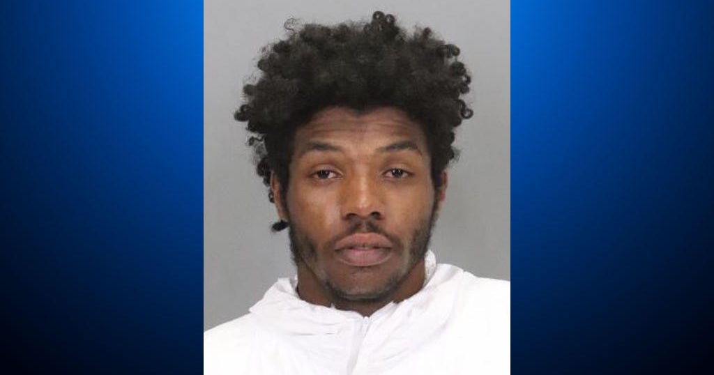 Update: Suspect arrested in brutal San Jose stabbing of grandmother, 6 ...
