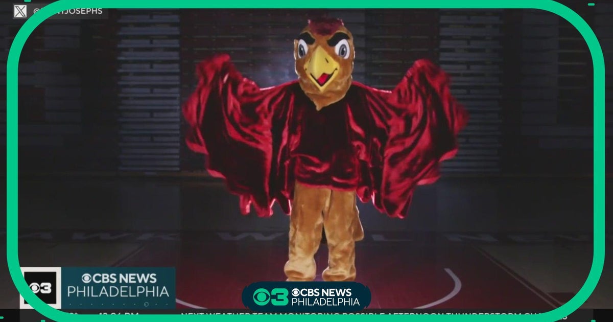 St. Joseph's University unveils updated hawk mascot - CBS Philadelphia St. Joseph's University unveils updated hawk mascot - CBS Philadelphia