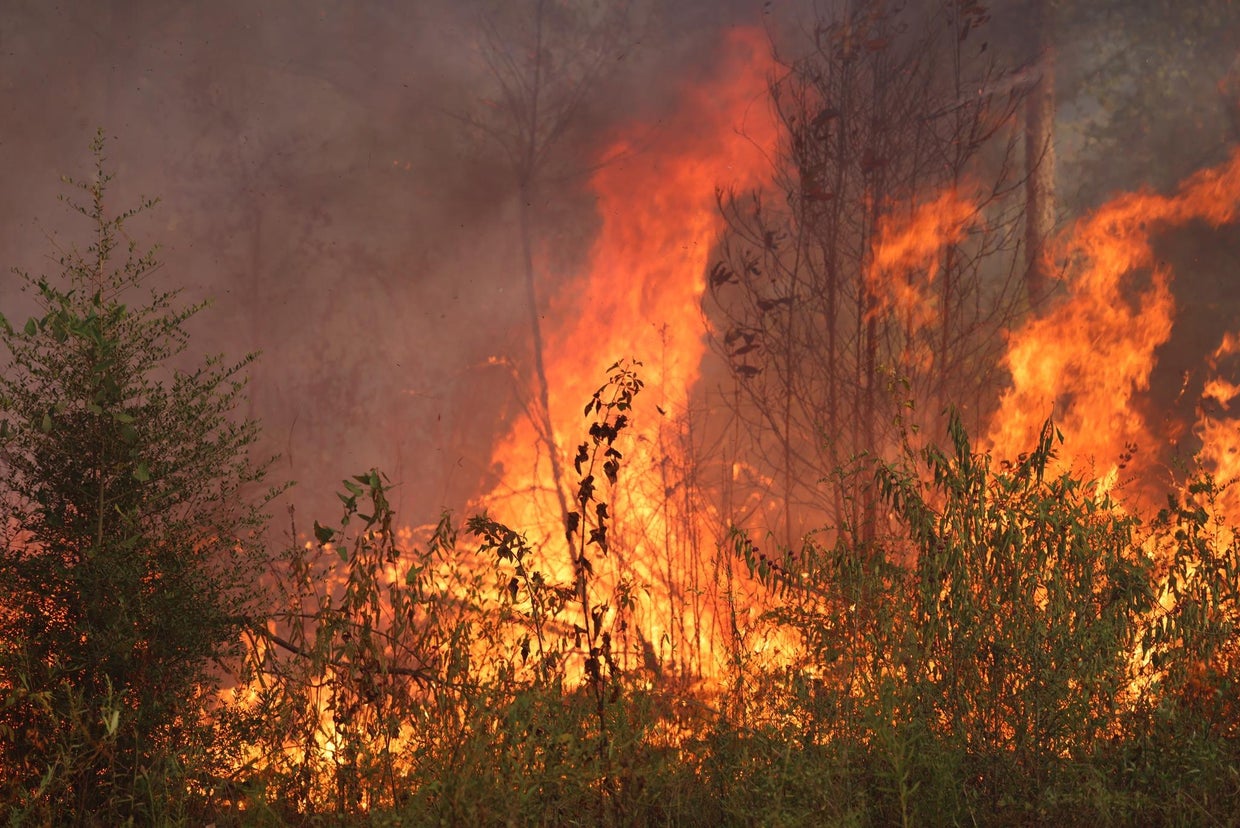 Dozens of wildfires burn in Louisiana amid scorching heat: "This is ...