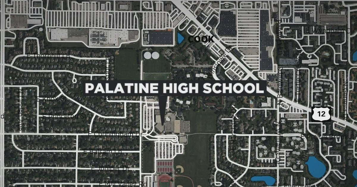 Student arrested after bringing gun into high school in Palatine - CBS ...