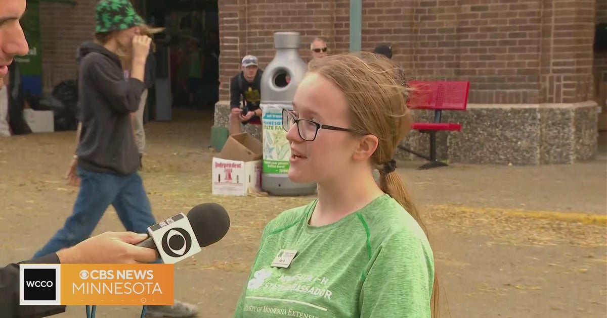 What it takes to run the 4-H shows at the state fair - CBS Minnesota