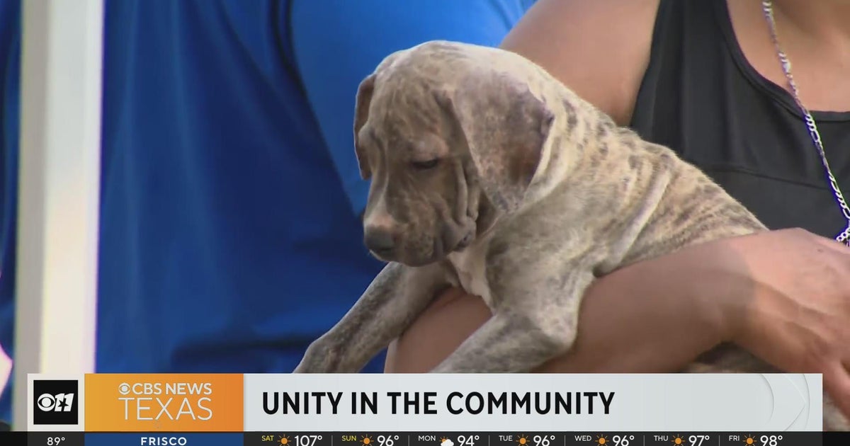 Dallas' first Unity in the Community fair brings districts together ...