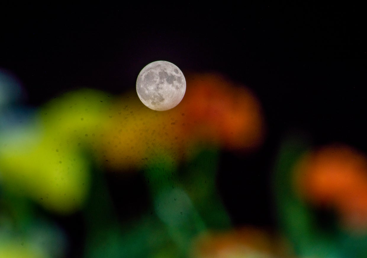 Miss last night's super blue moon? See stunning pictures of the rare ...