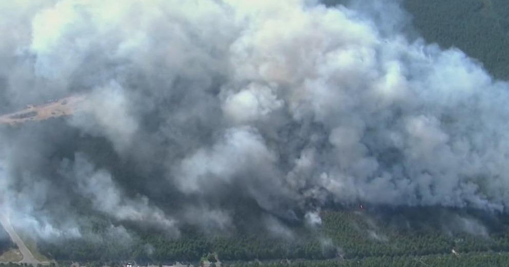 Plane crash sparked wildfire at Miller Air Park in NJ: officials - CBS ...