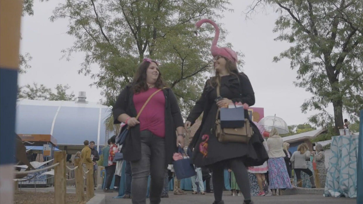 Flamingos take center stage at Denver Zoo's Flock Party - CBS Colorado