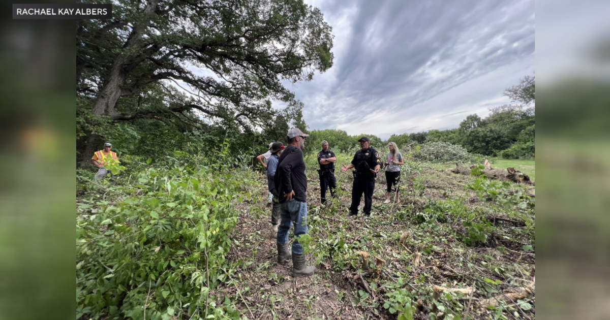 Geneva activists protest construction they say will eliminate trees ...