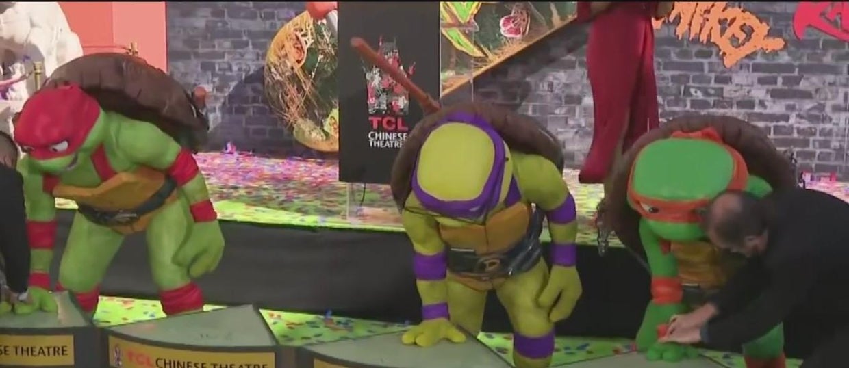 Teenage Mutant Ninja Turtles cemented at the TCL Chinese Theatre - CBS ...