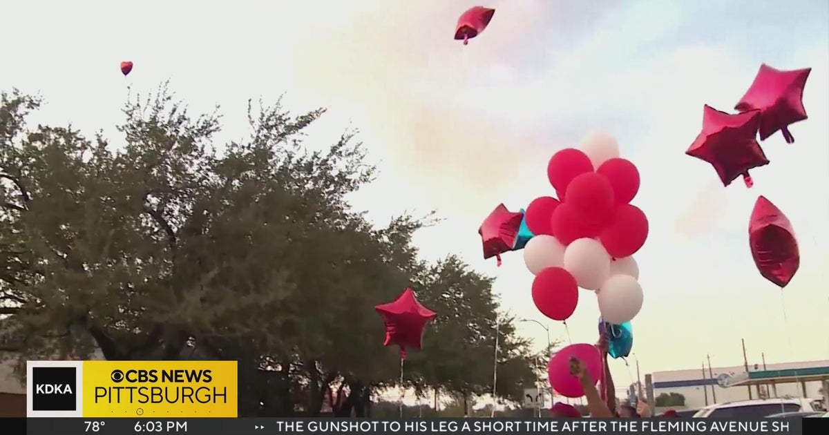 Residents call on lawmakers to prioritize balloon release ban ...