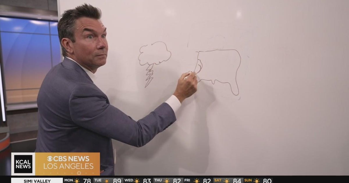 Morning Wrap: Jerry O'Connell is back with more 'Pictionary' - CBS Los ...