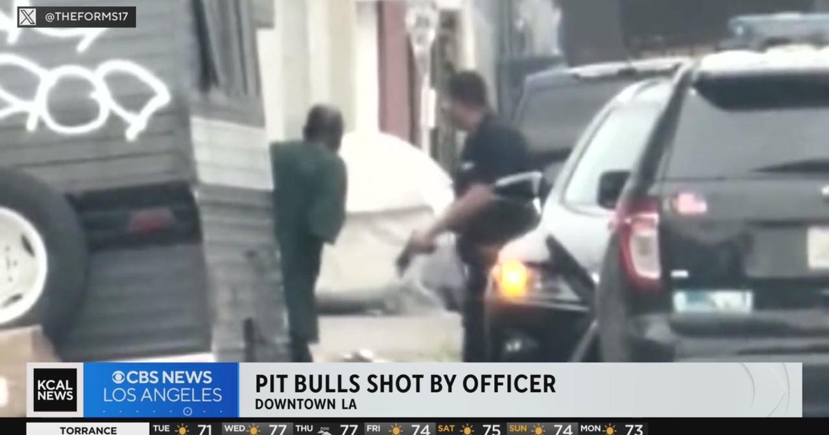 Activists outraged after pair of pit bulls shot by LAPD officers in ...
