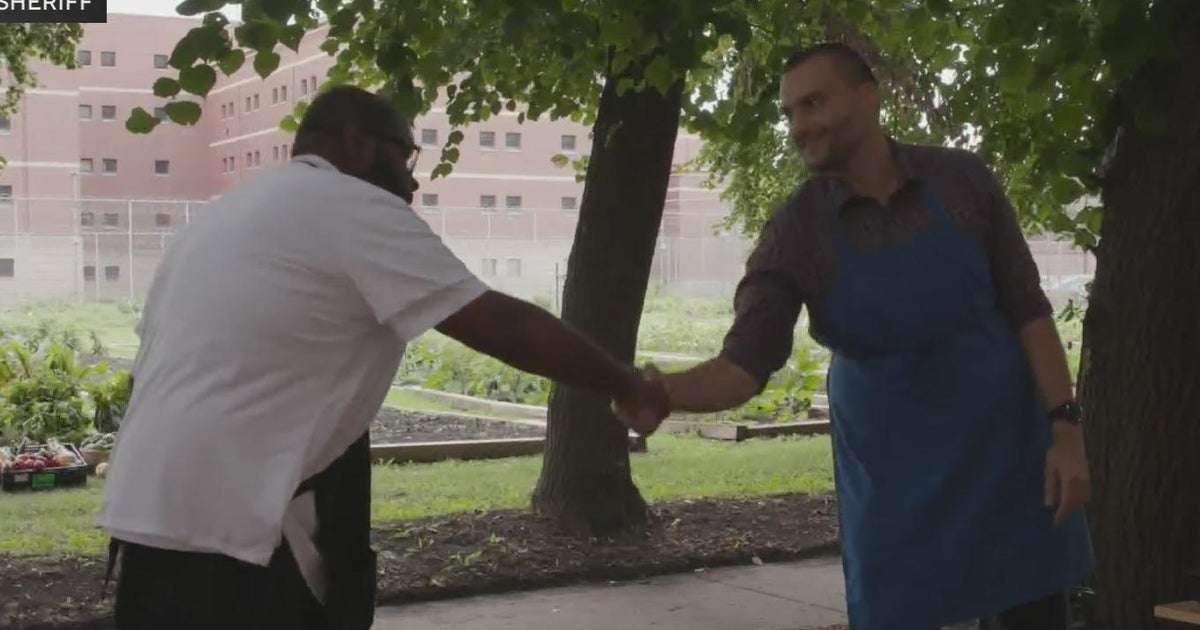 Chefs compete with vegetables grown by Cook Co. Jail inmates - CBS Chicago