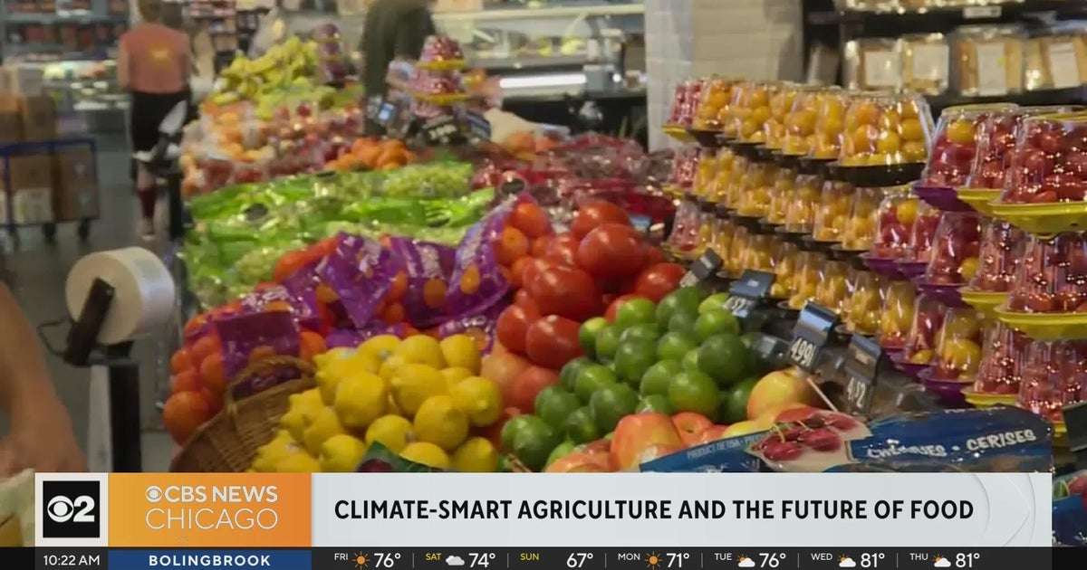 Climate change: the future of food and climate-smart agriculture - CBS ...