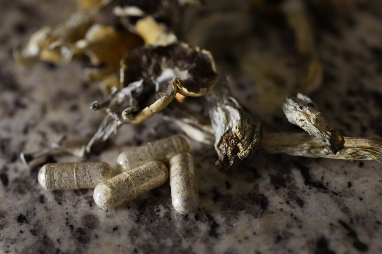 Oregon launches legal psilocybin, known as "magic mushrooms" access to ...