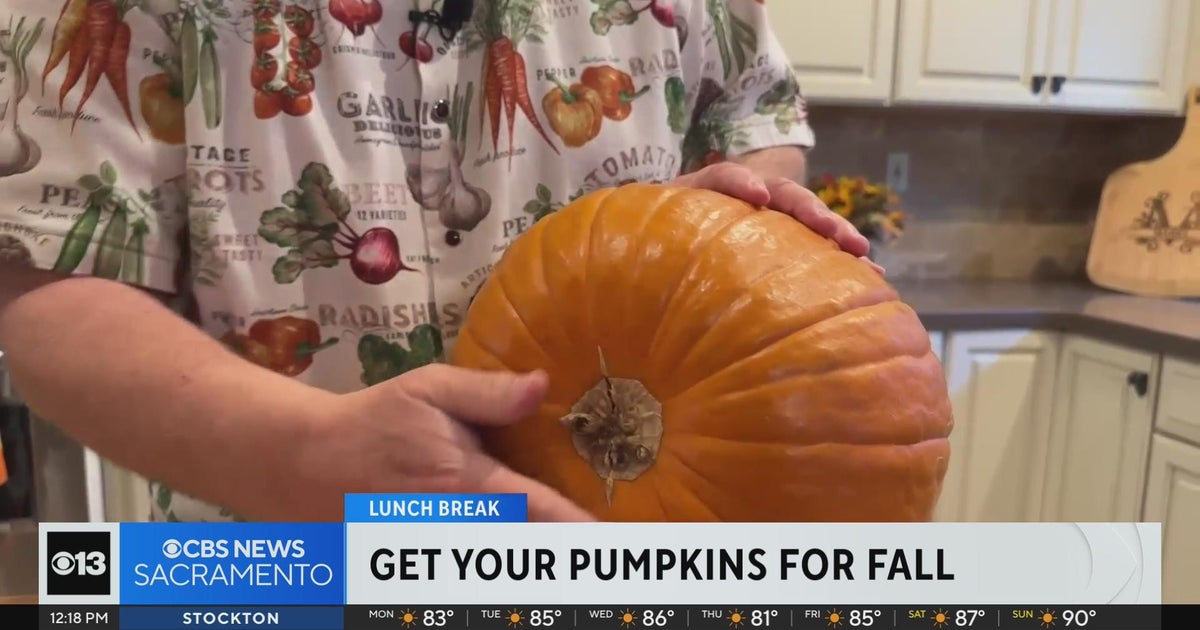 Lunch Break: Autumn pumpkins - CBS Sacramento