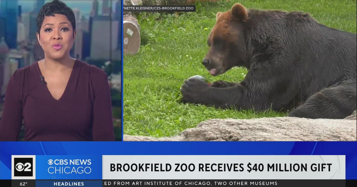 Brookfield Zoo receives $40M, largest single donation in its history ...