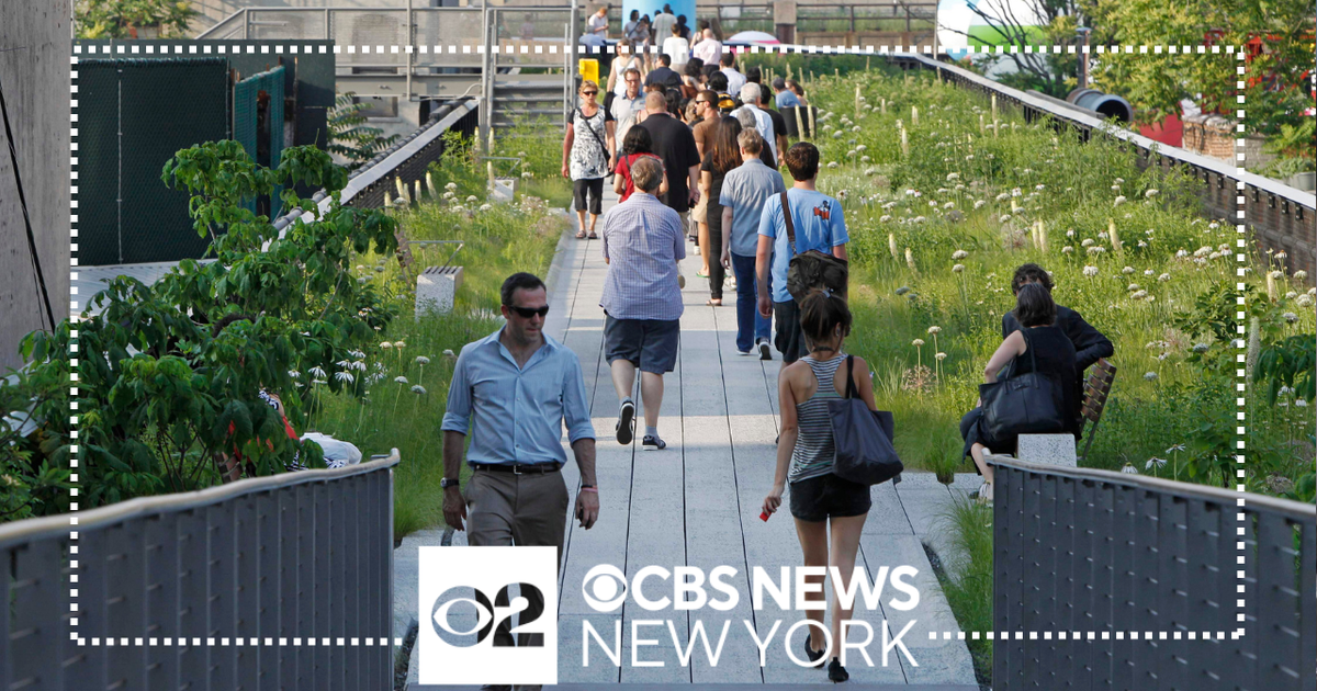 Science fair showcasing real climate solutions on NYC's High Line - CBS ...