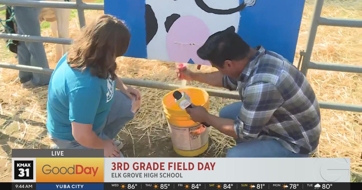 3rd Grade Field Day - Good Day Sacramento