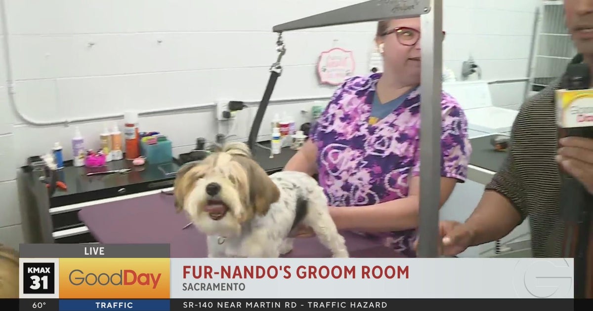 Fur-Nando's Groom Room - Good Day Sacramento