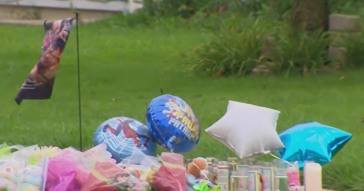 Neighbors still shaken with no known motive for murder of Illinois ...