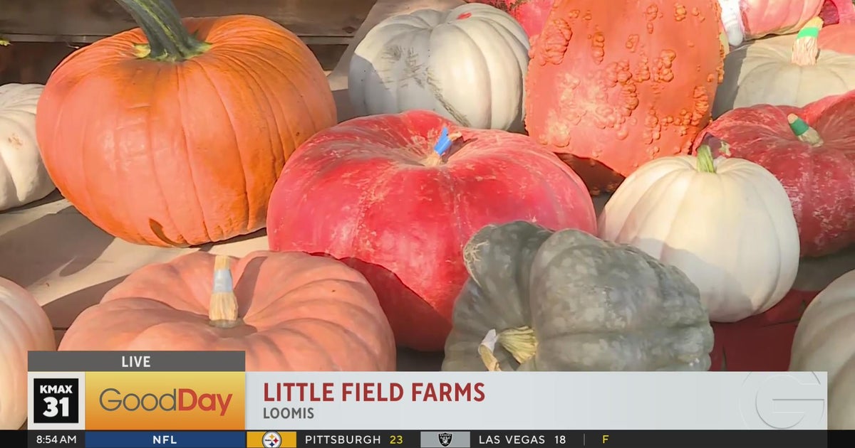 Little Field Farms in Loomis - Good Day Sacramento