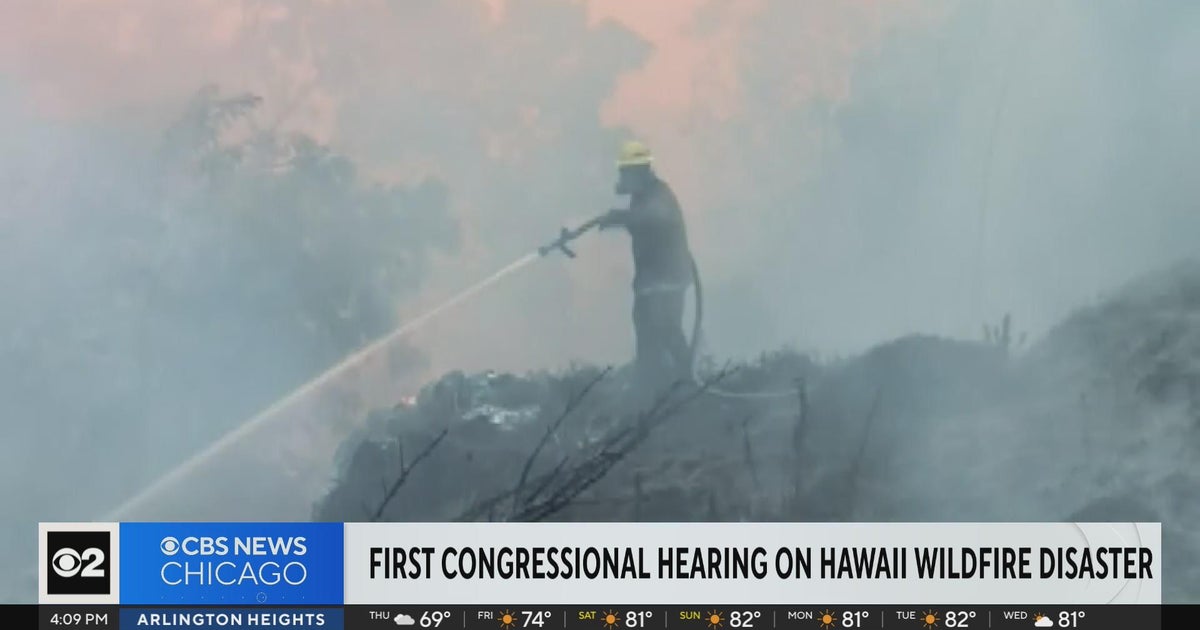 First congressional hearing on Hawaii wildfire disaster - CBS Chicago