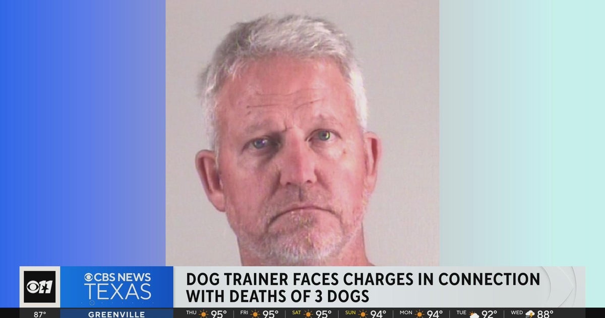 Dog trainer Alan Brown facing facing felony animal cruelty charges ...