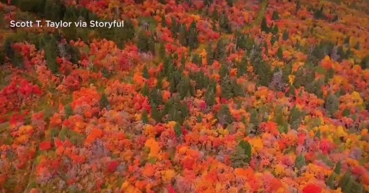 Fall colors in Utah - CBS Chicago