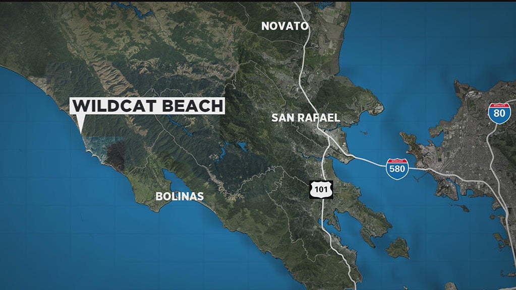 Crews search for swimmer following shark attack off Point Reyes in ...