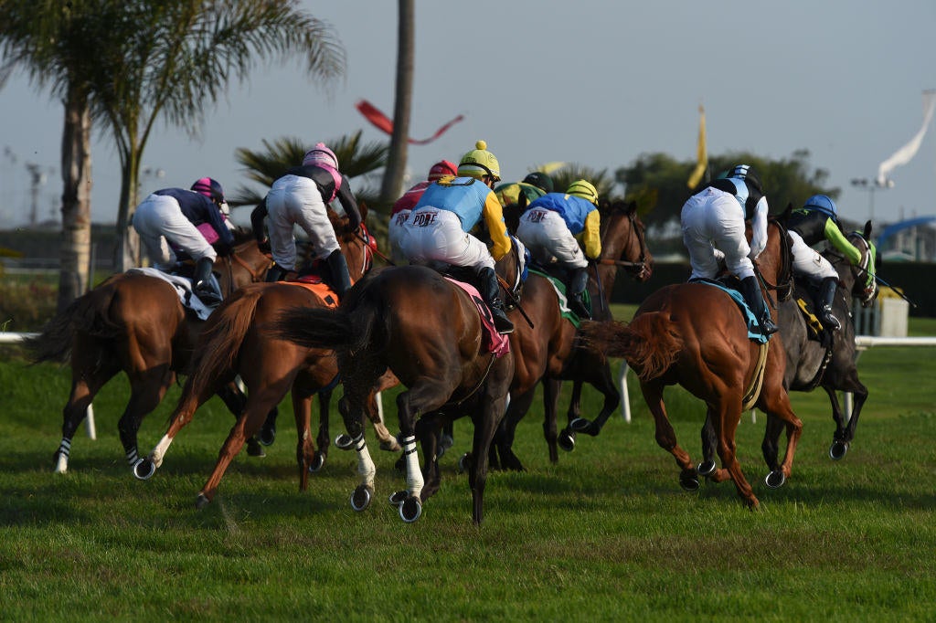 4 more racehorses die at Golden Gate Fields within span of two weeks ...
