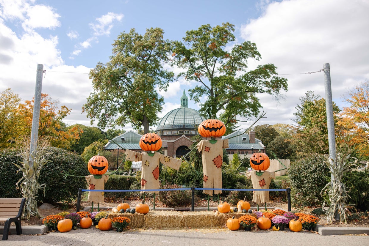 Zoo Boo kicks off on Oct. 7 at Detroit zoo - CBS Detroit