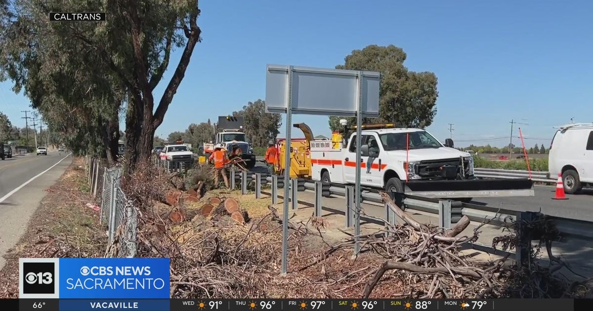 Caltrans cutting down trees in Nevada County to mitigate fire hazards ...