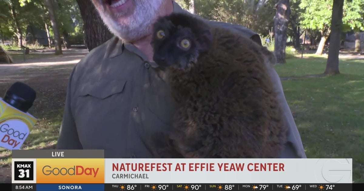 NatureFest at Effie Yeaw Nature Center - Good Day Sacramento