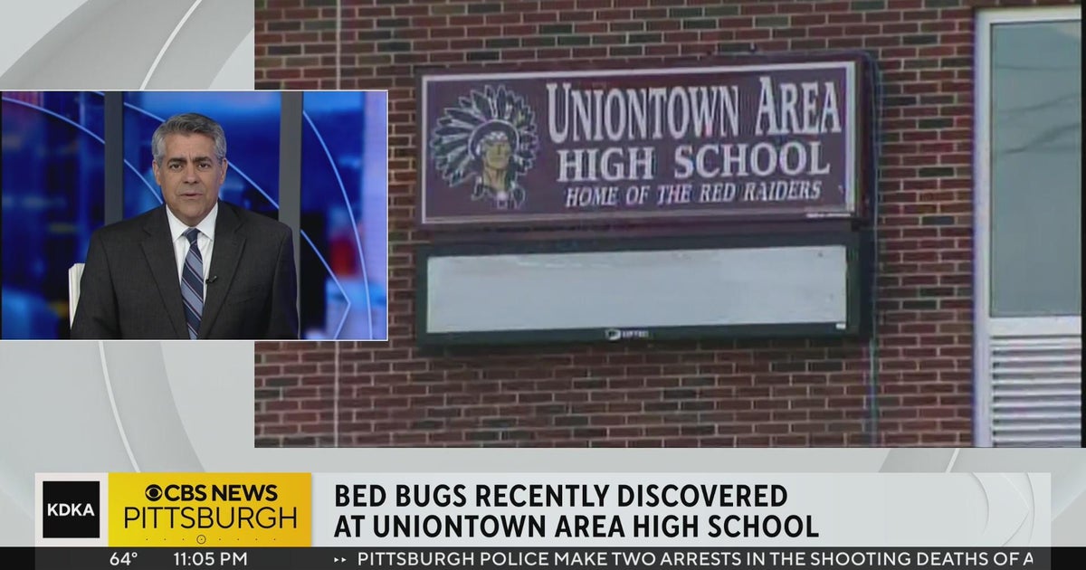 Uniontown High School informs families of bedbug issue - CBS Pittsburgh