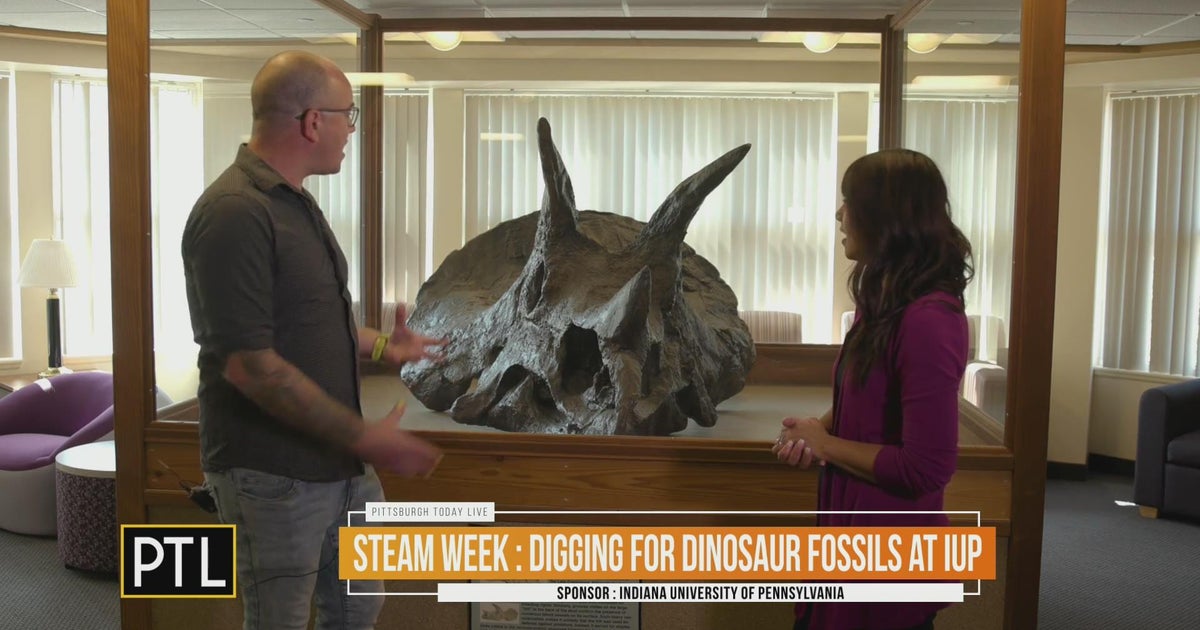 Celebrating National Fossil Day at IUP - CBS Pittsburgh