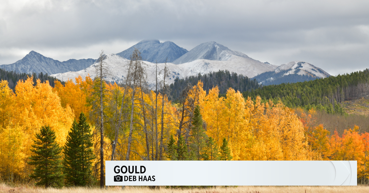 Fall Colors in Colorado in 2023