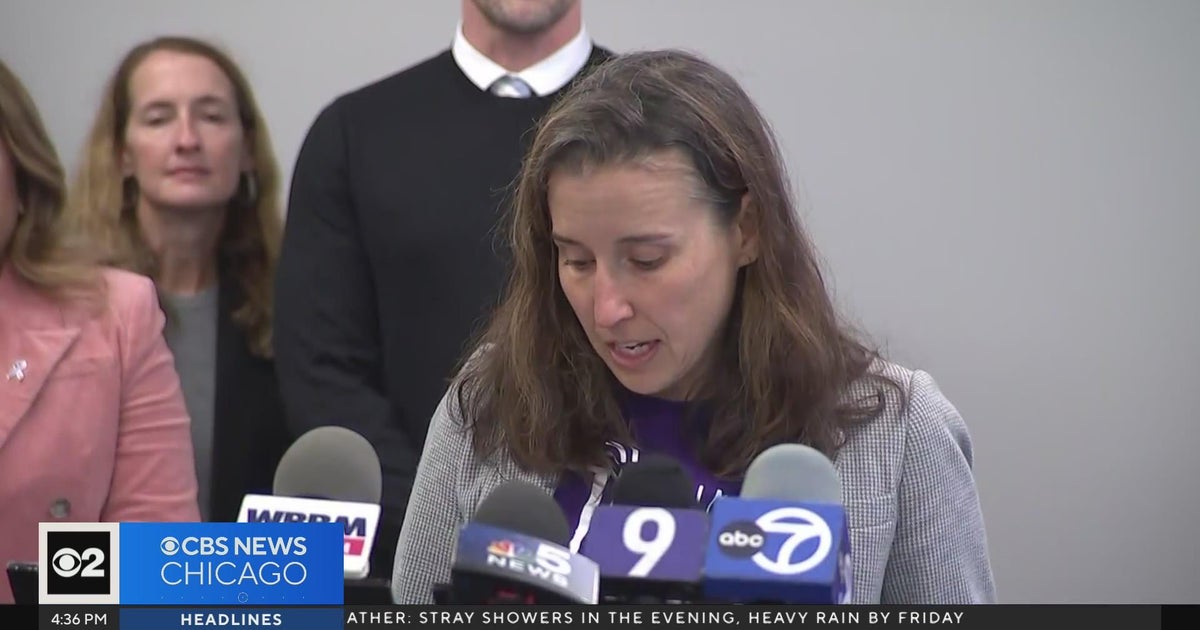 Karina's Bill pushed to protect victims from guns - CBS Chicago